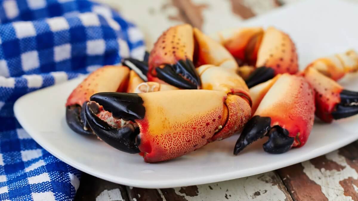 What to Eat in Miami: Cuban, Caribbean, and Seafood You Can’t Miss