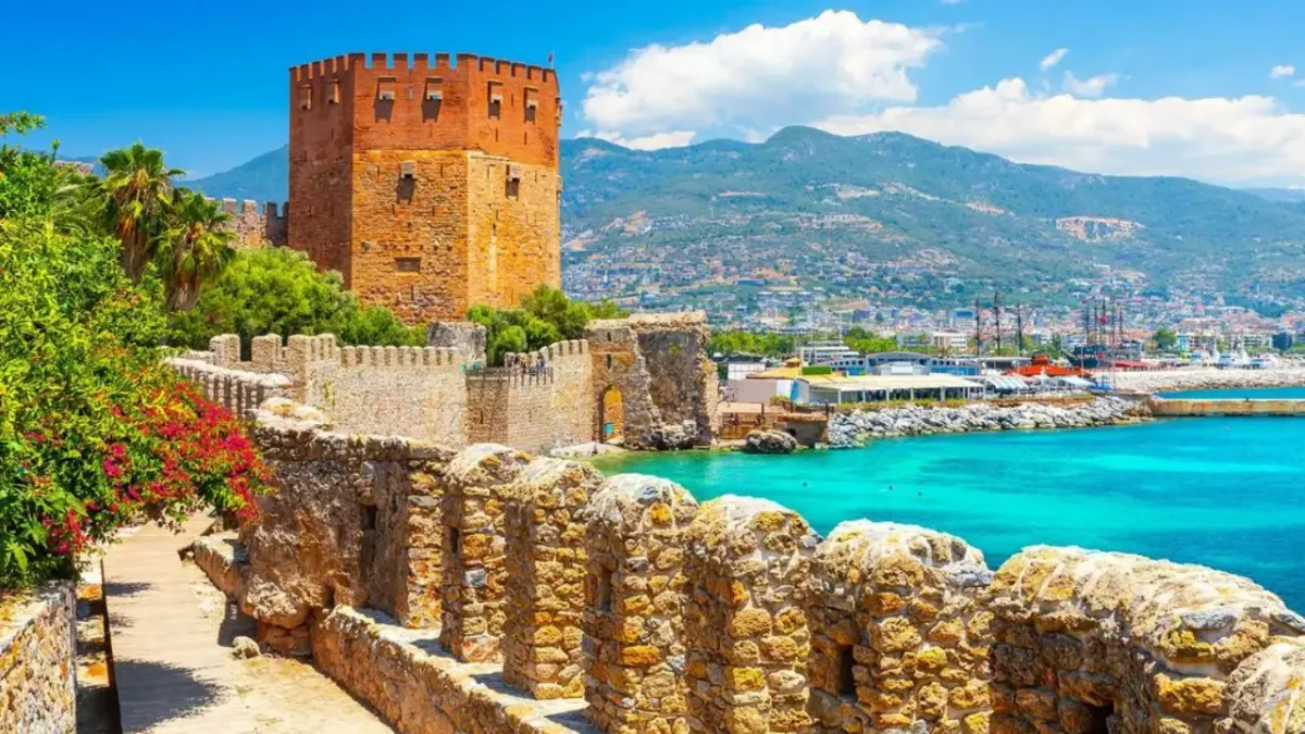 What People Get Wrong About How Cheap Turkey Really is?